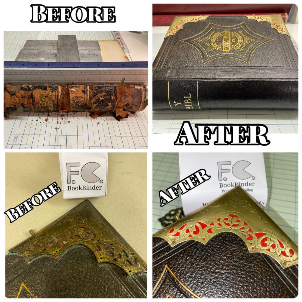 Back to life - F.C. Bookbinder